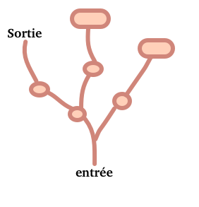 TP Python1 variables | Allophysique